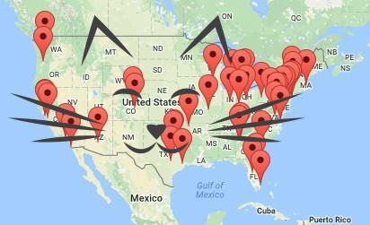 2019 Cat Cafe Guide - That Cat Life