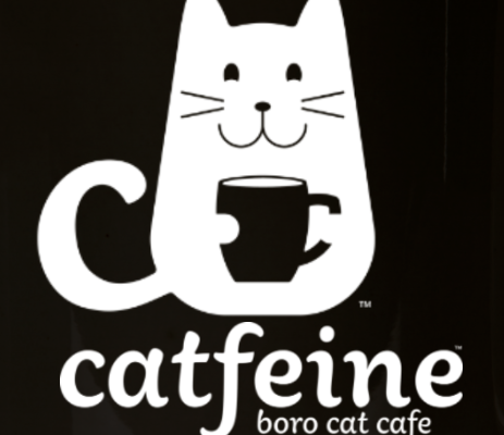 Tennessee: Catfeine Cat Cafe **Coming Soon** - That Cat Life