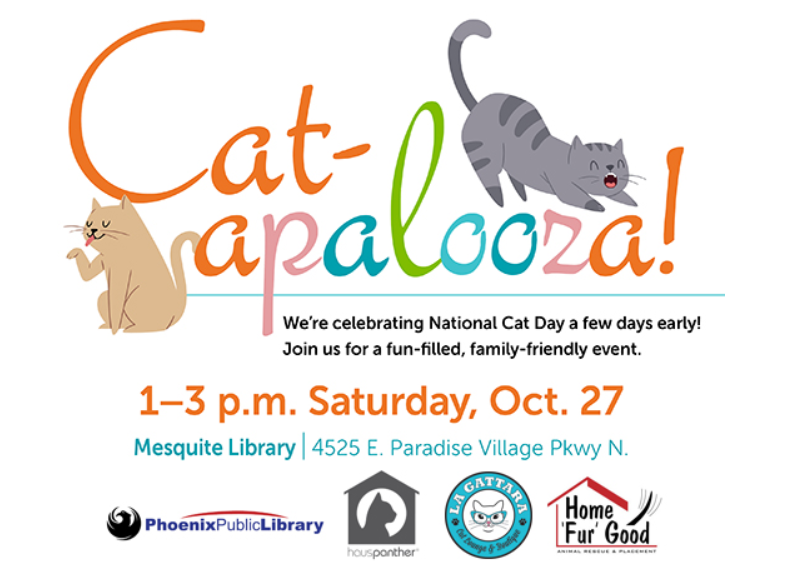 It's National Cat Day! Here's Your Great Big Calendar of Cat Fun for ...