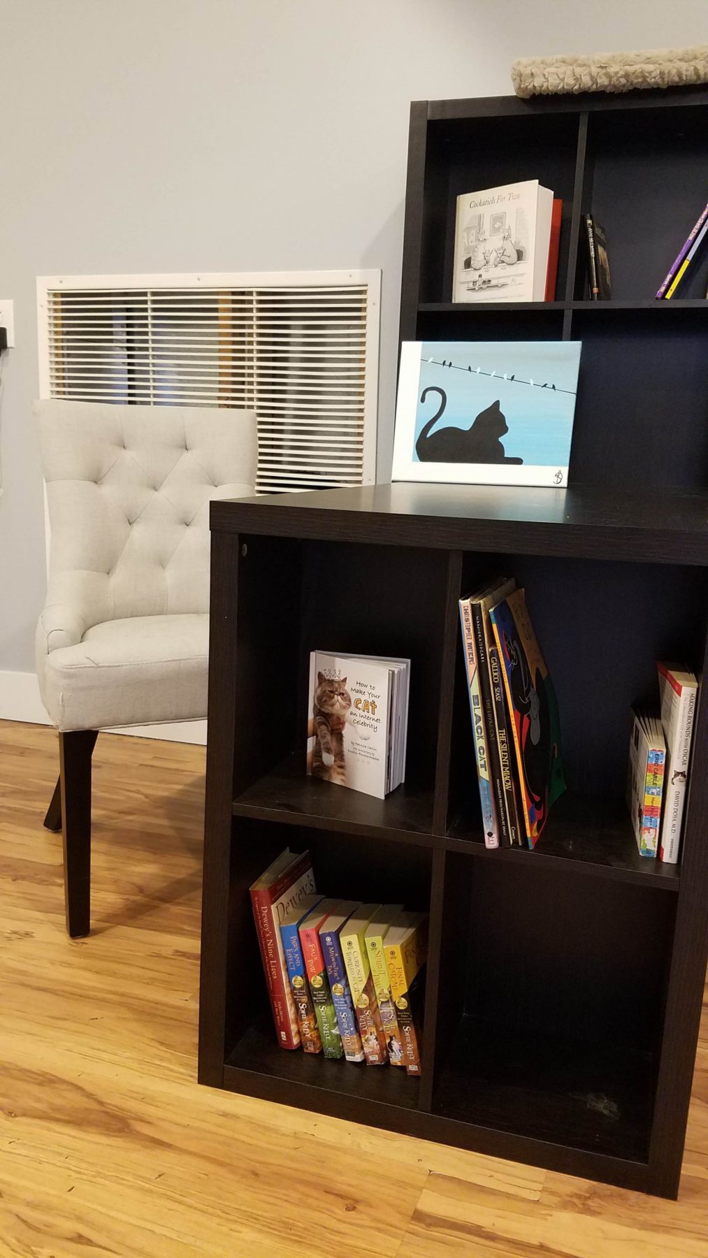 Gaga for affoGATO! Your first look at the Cleveland Cat Cafe Now ...