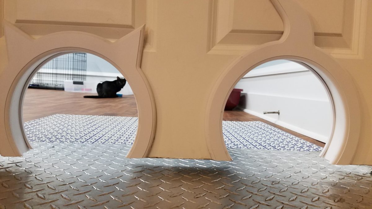 Gaga for affoGATO! Your first look at the Cleveland Cat Cafe Now ...