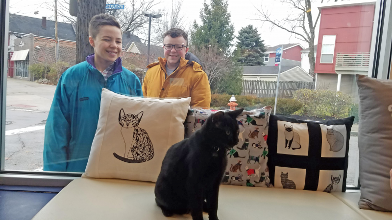 Gaga for affoGATO! Your first look at the Cleveland Cat Cafe Now ...
