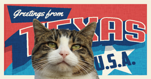 Texas Cat Cafes – That Cat Life