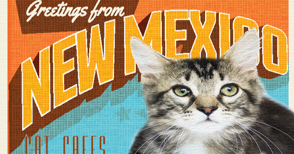 New Mexico Cat Cafes – That Cat Life