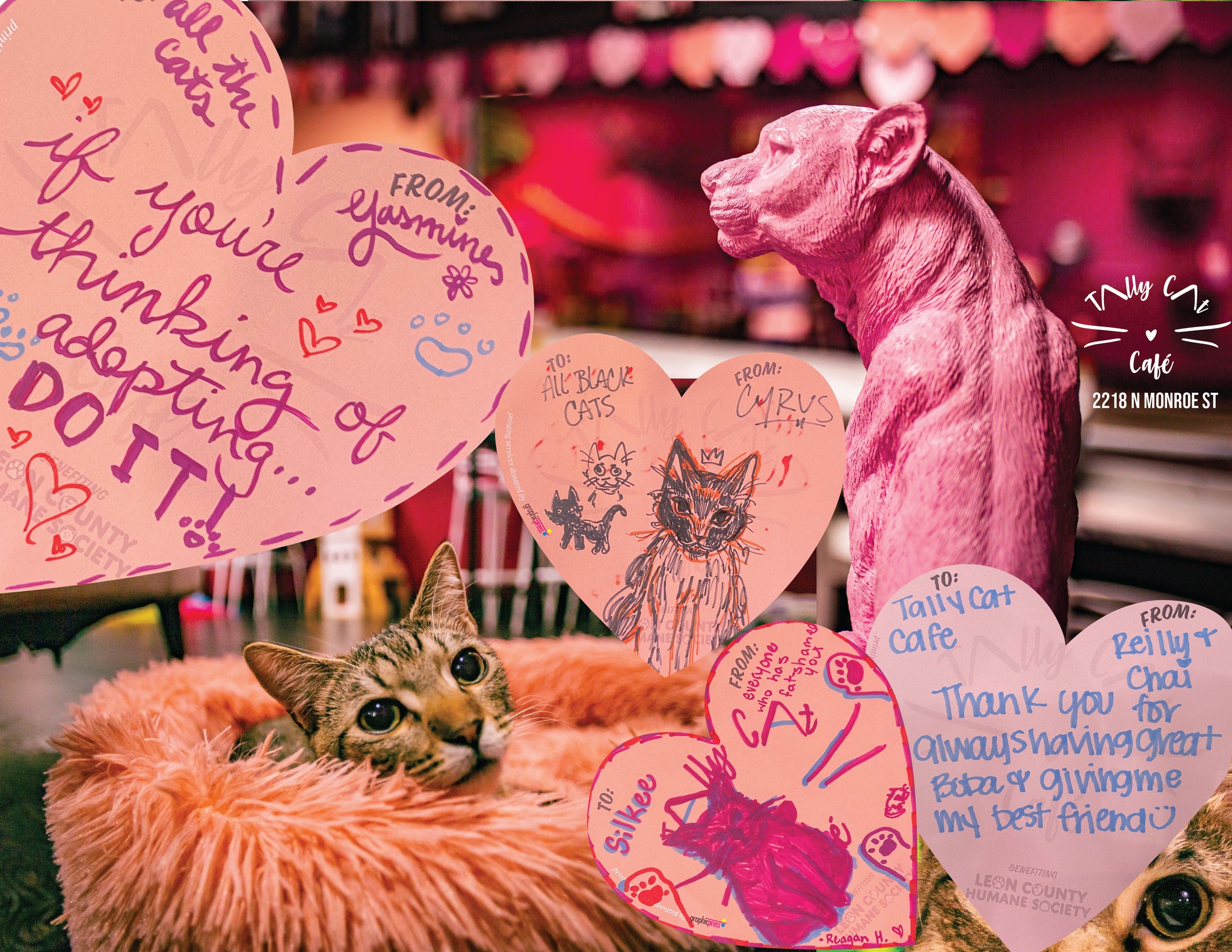 All The Warm and Felines! We Have The Key To Your Lover's Heart: State ...