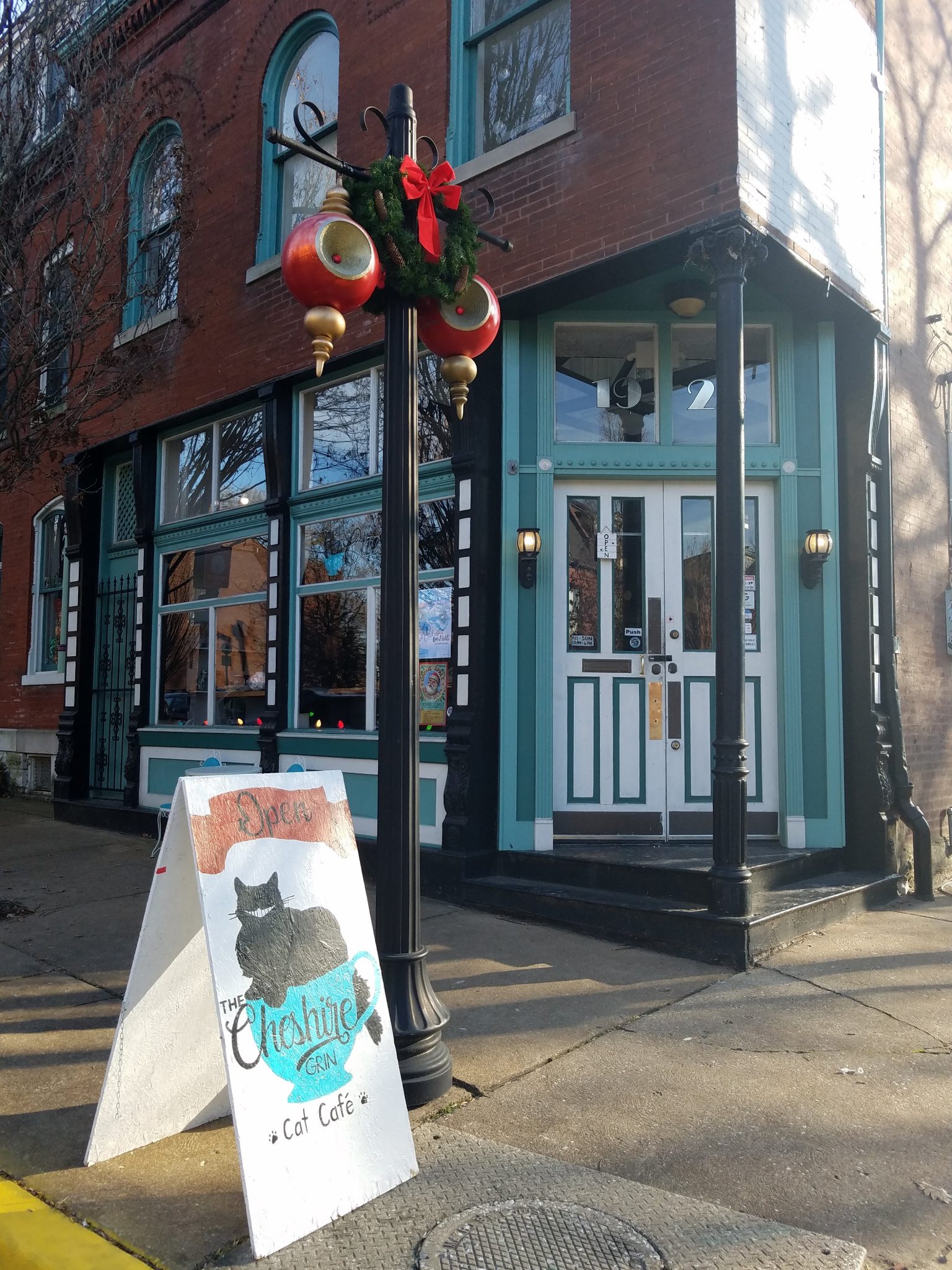 Cat Cafe Trends and Updates – That Cat Life