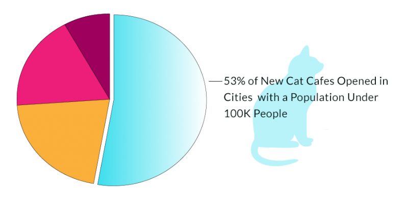 Cat Cafe Trends and Updates - That Cat Life