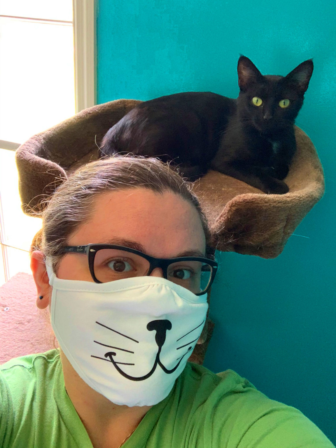 Where to Order a Cool Cat Face Mask Now to Help Save Kitties! Rep Your ...