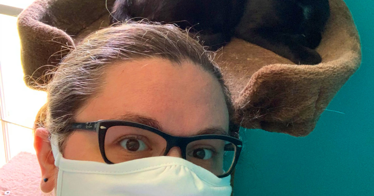 Where to Order a Cool Cat Face Mask Now to Help Save Kitties! Rep ...