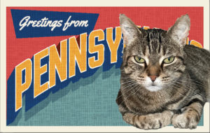 Pennsylvania Cat Cafes - That Cat Life