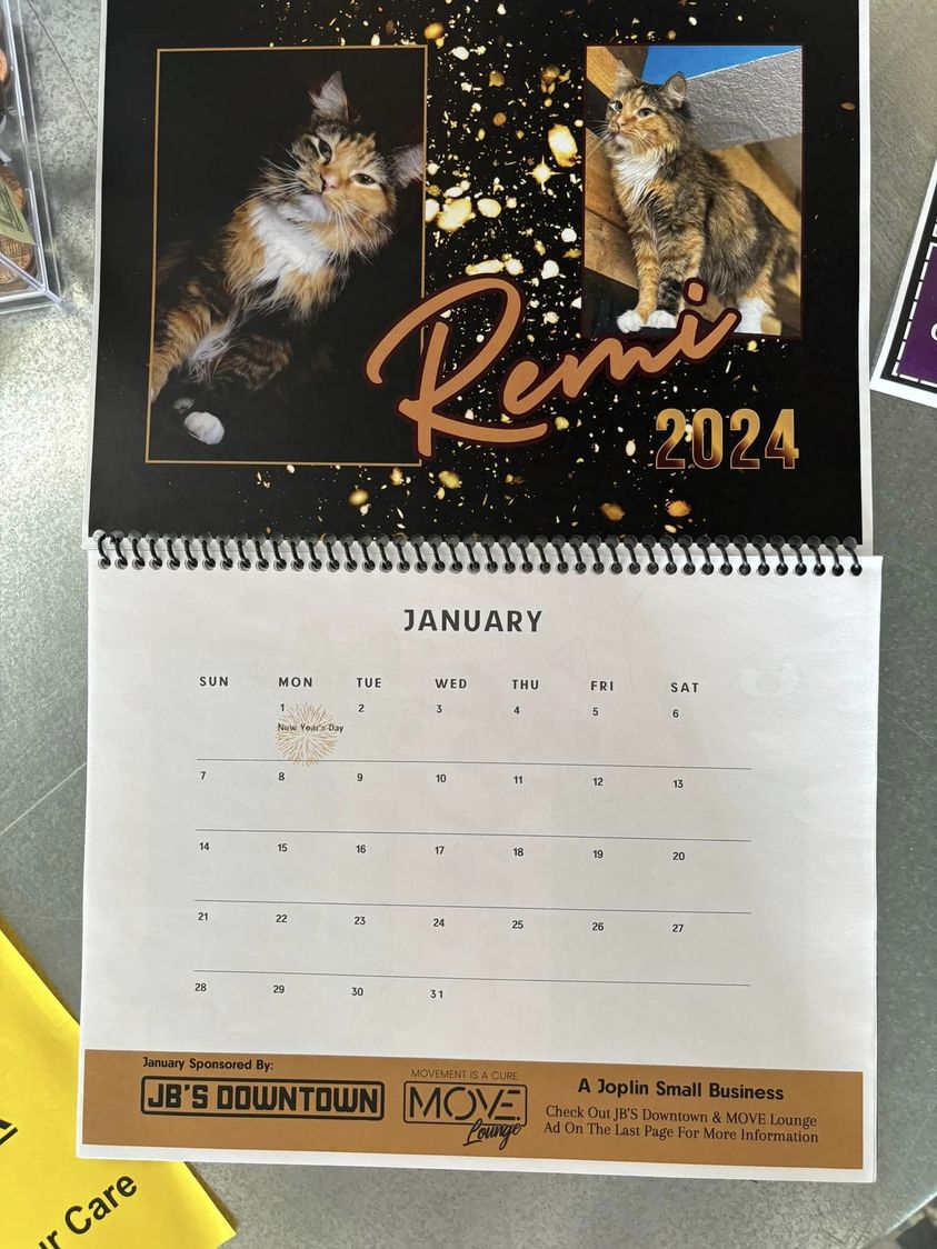 Nine Lives Cat Rescue & Adoption Center Cat Calendar - That Cat Life