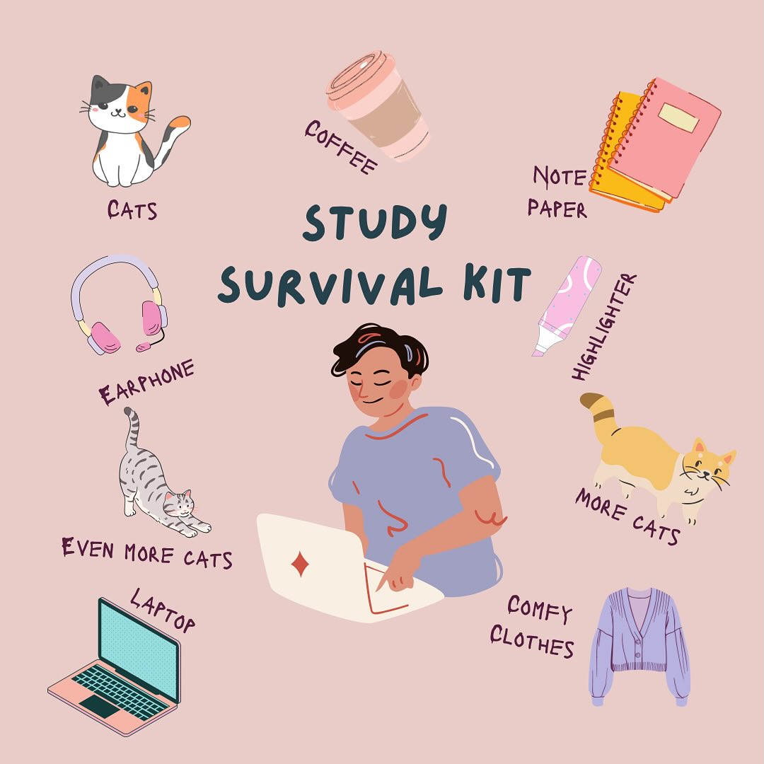 Study survival kit - That Cat Life