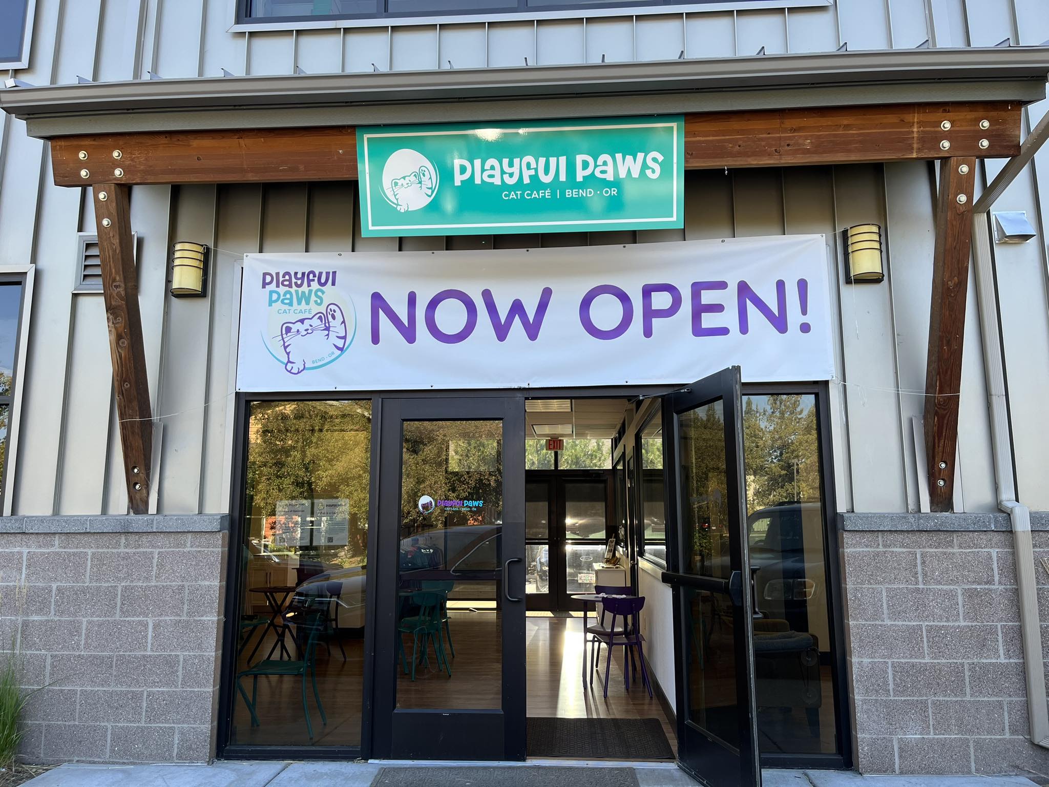 Playfulpaws Cat Cafe - That Cat Life