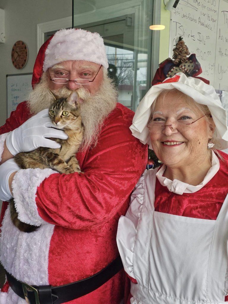 Let the Pawlidays Roll! Get your Picture With Santa and Cats, Have ...