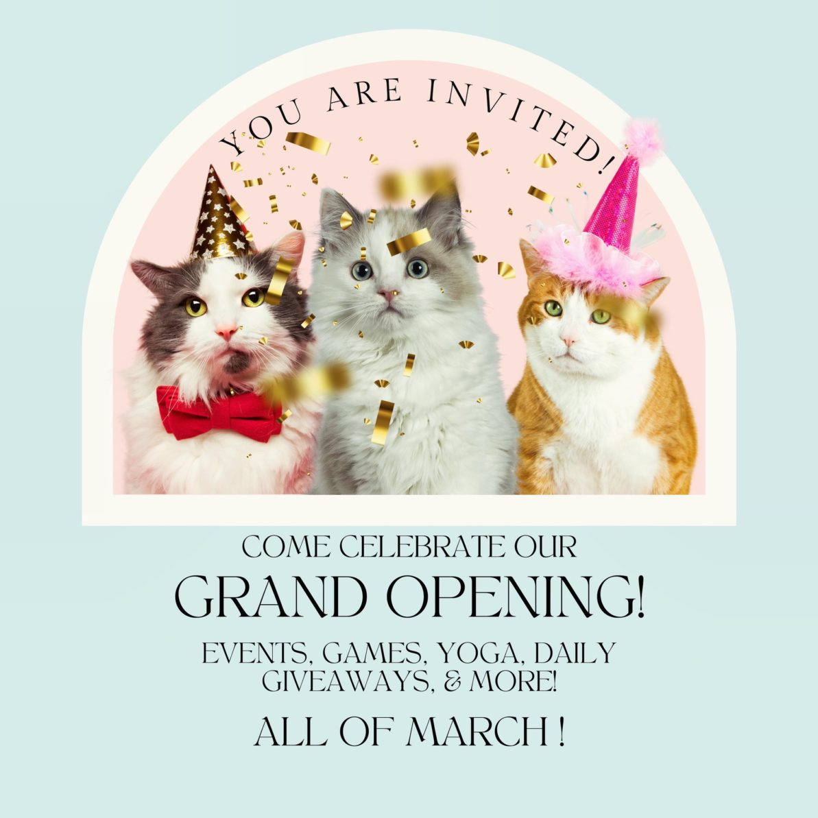 New Georgetown Cat Cafe is Cat Lover’s Dream! Head to Meow Maison ...