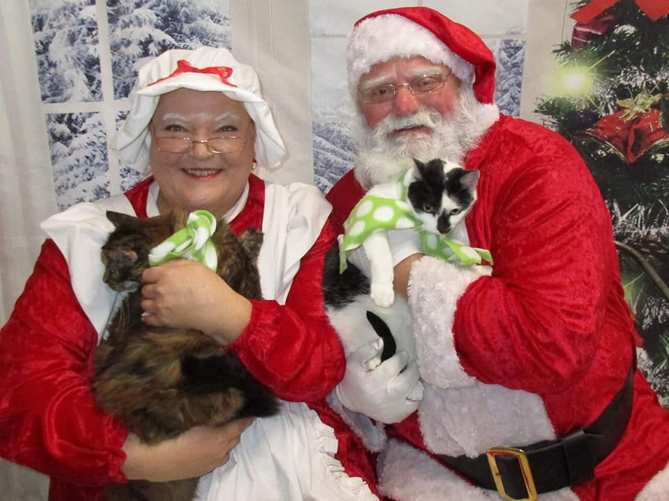 Real Santa Paws - That Cat Life